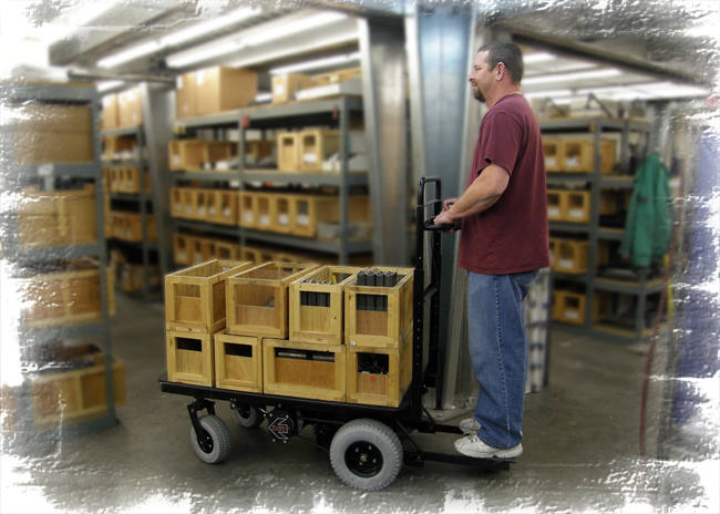 BOUNDER Motorized Cart